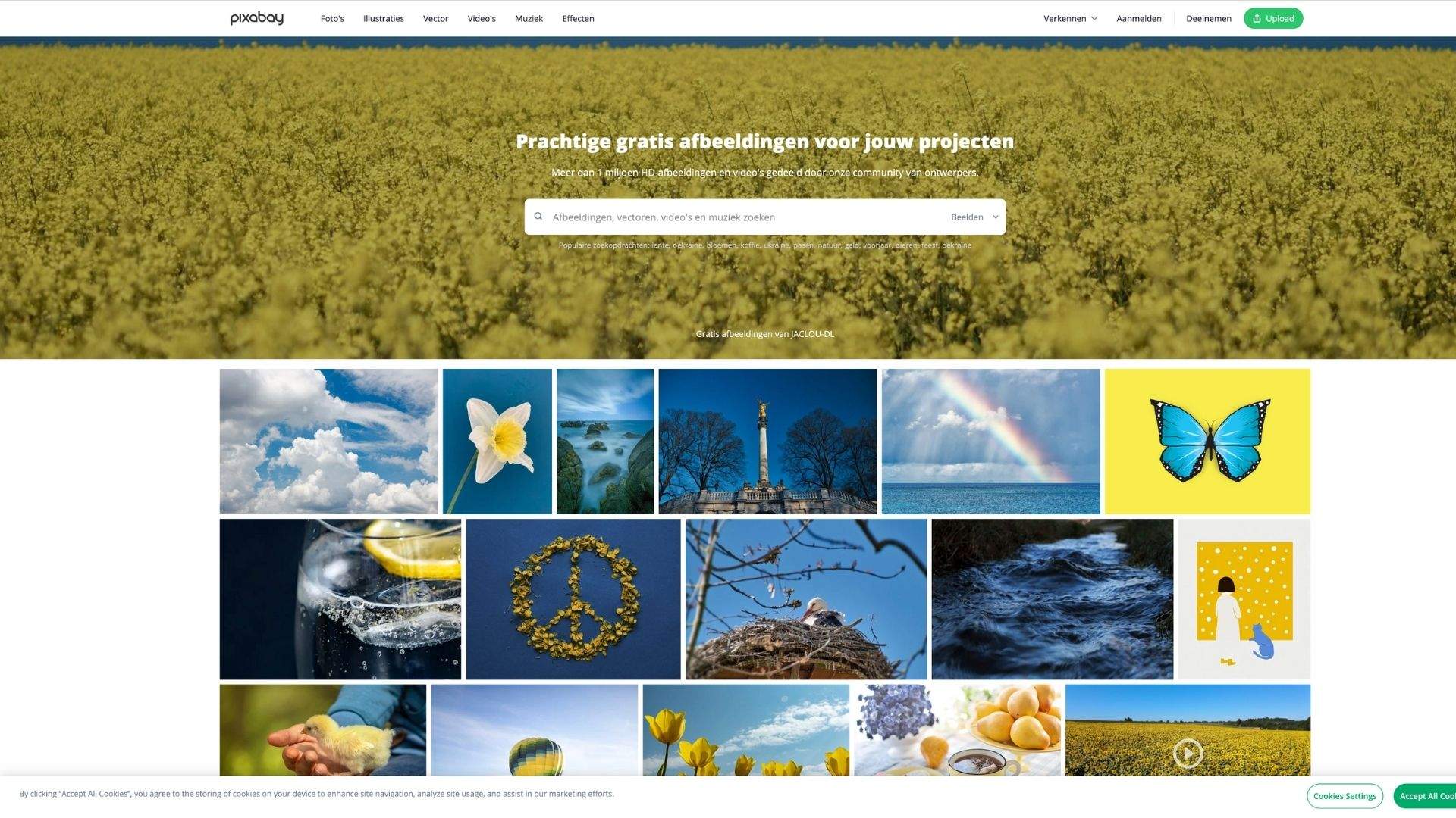 Zo kom je aan GRATIS afbeeldingen voor je website!