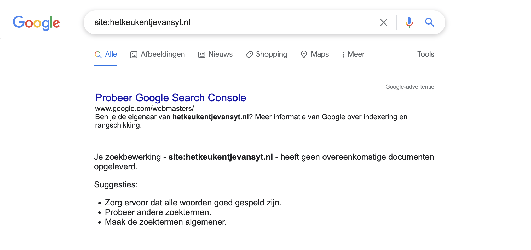 Hoelang Duurt het Voordat mijn Website op Google Staat?